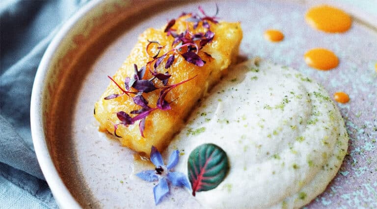 Gastronomia - A arte das artes, "uma comida para alimentar todos os ...